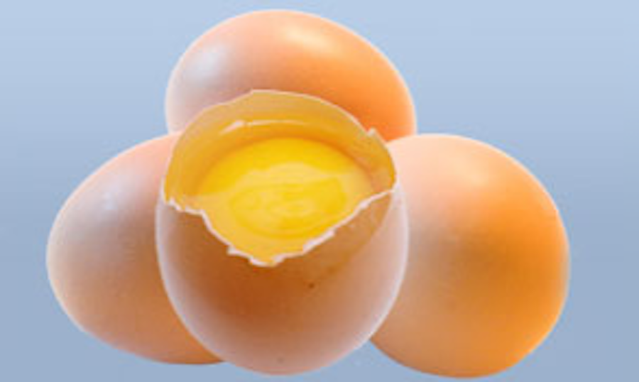 OVODAN EIPRODUKTE GMBH & CO. KG in Zeven auf wlw.de