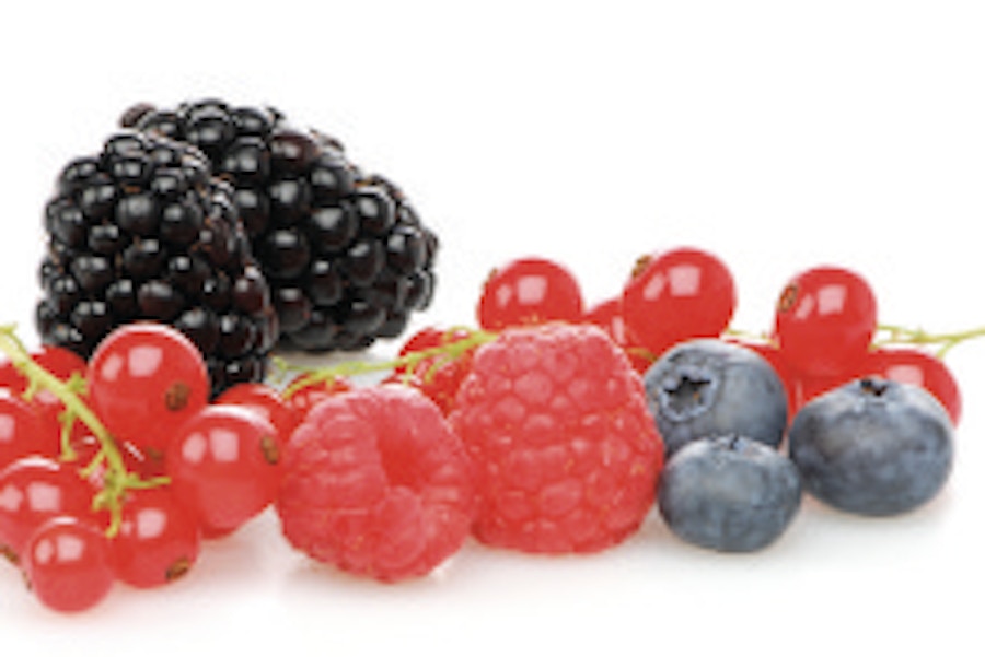 AGRANA Fruit Austria GmbH in Gleisdorf auf wlw.at